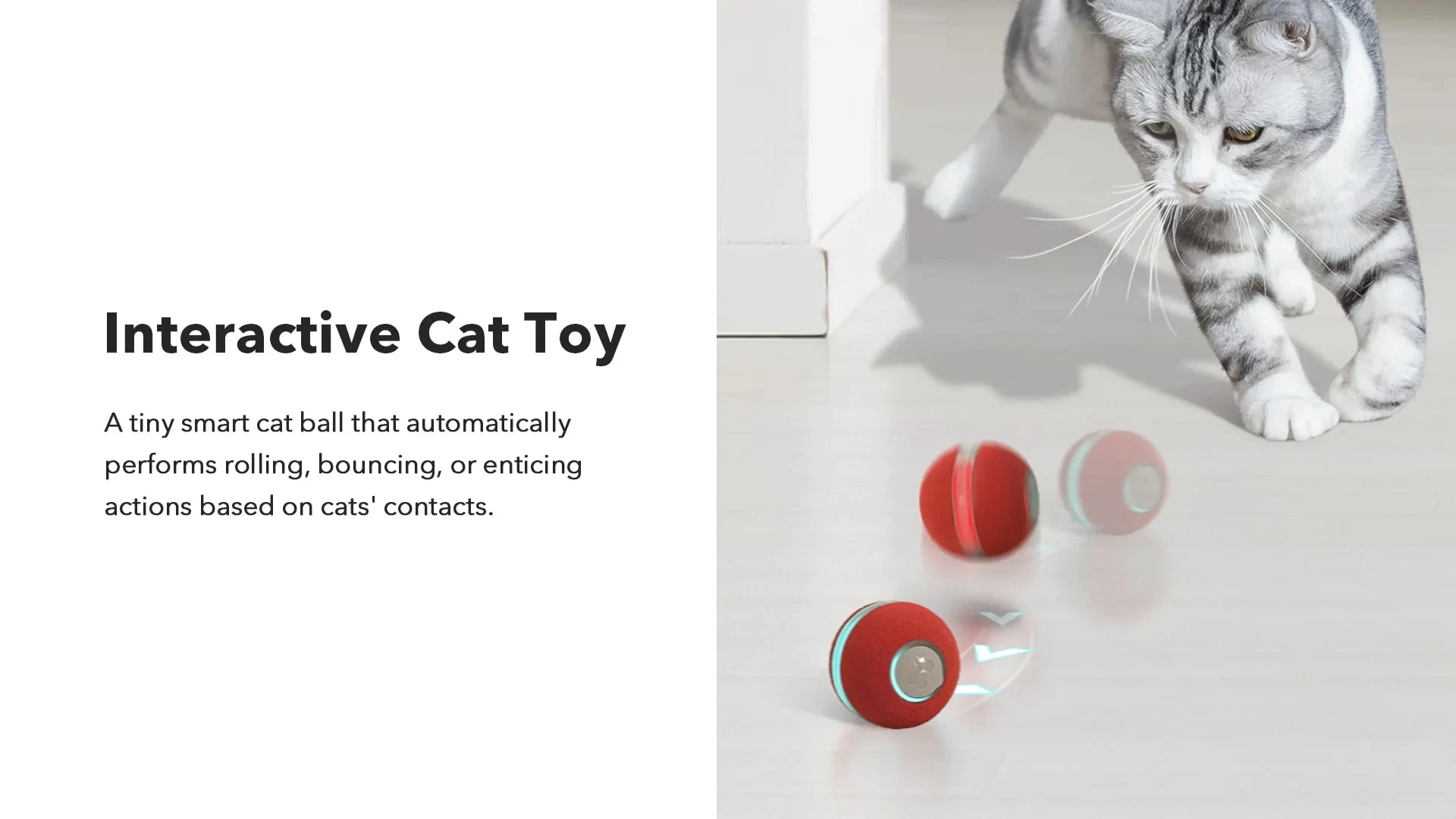 Cheerble Ball M1 - Smart & Interactive Pet Toy for Cats