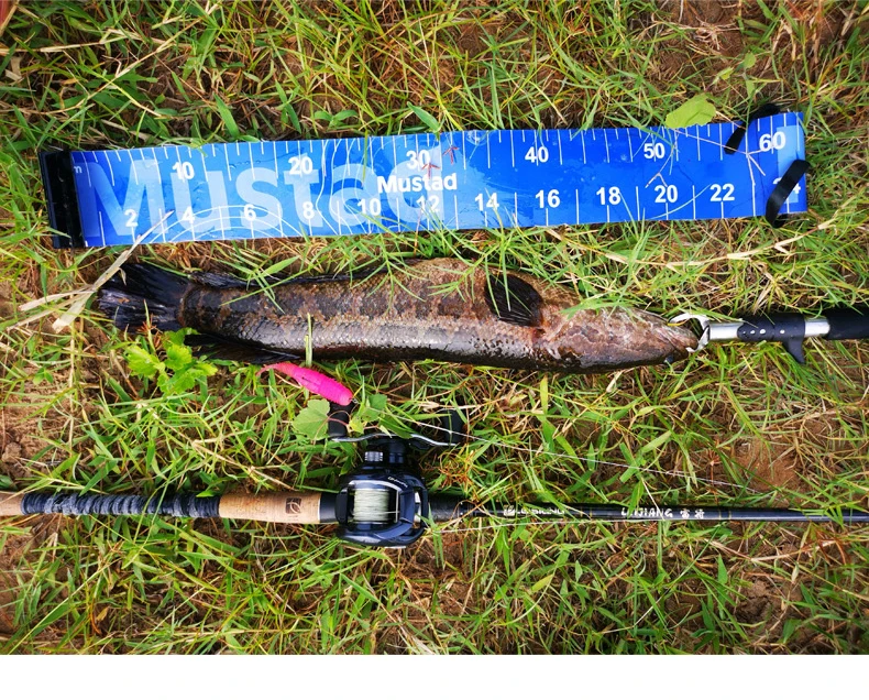 Mustad MT125 Folding Fishing Ruler - 140cm for Easy Storage