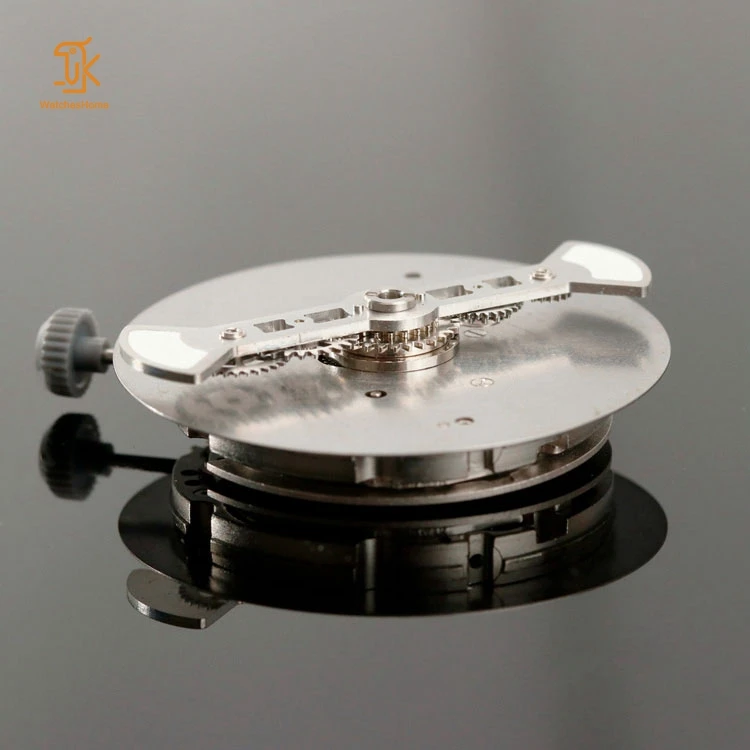 Custom Modify Movement Rotating 8215 Function Wandering Hours ...