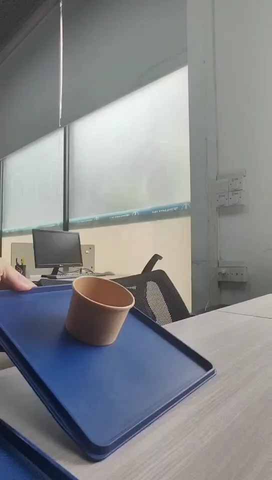 2/3 Inflight Plastic Food Serving Tray Airline Anti Slip Tray 38*27.3cm ...