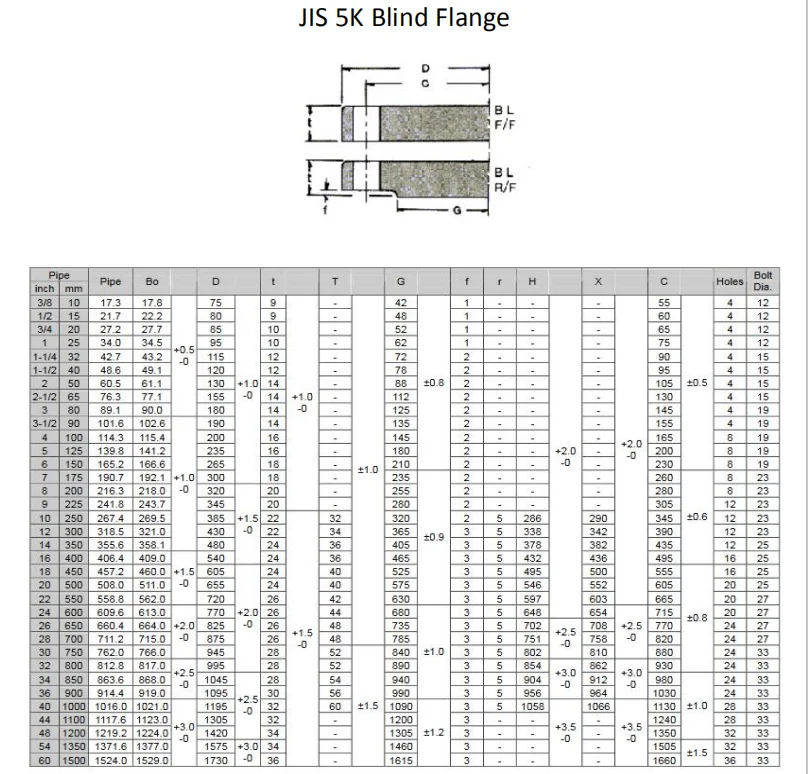 FORGED FLANGES JIS B2220 5K BLIND FLANGE SS400/SF440