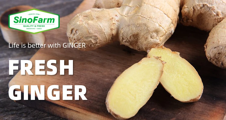 High Quality Fresh Ginger Air Dried Ginger Wholesale Supply With Best ...