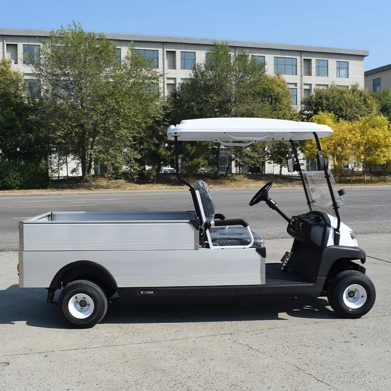 2 Seater with Cargo Box Golf Cart - Electric & CE Approved