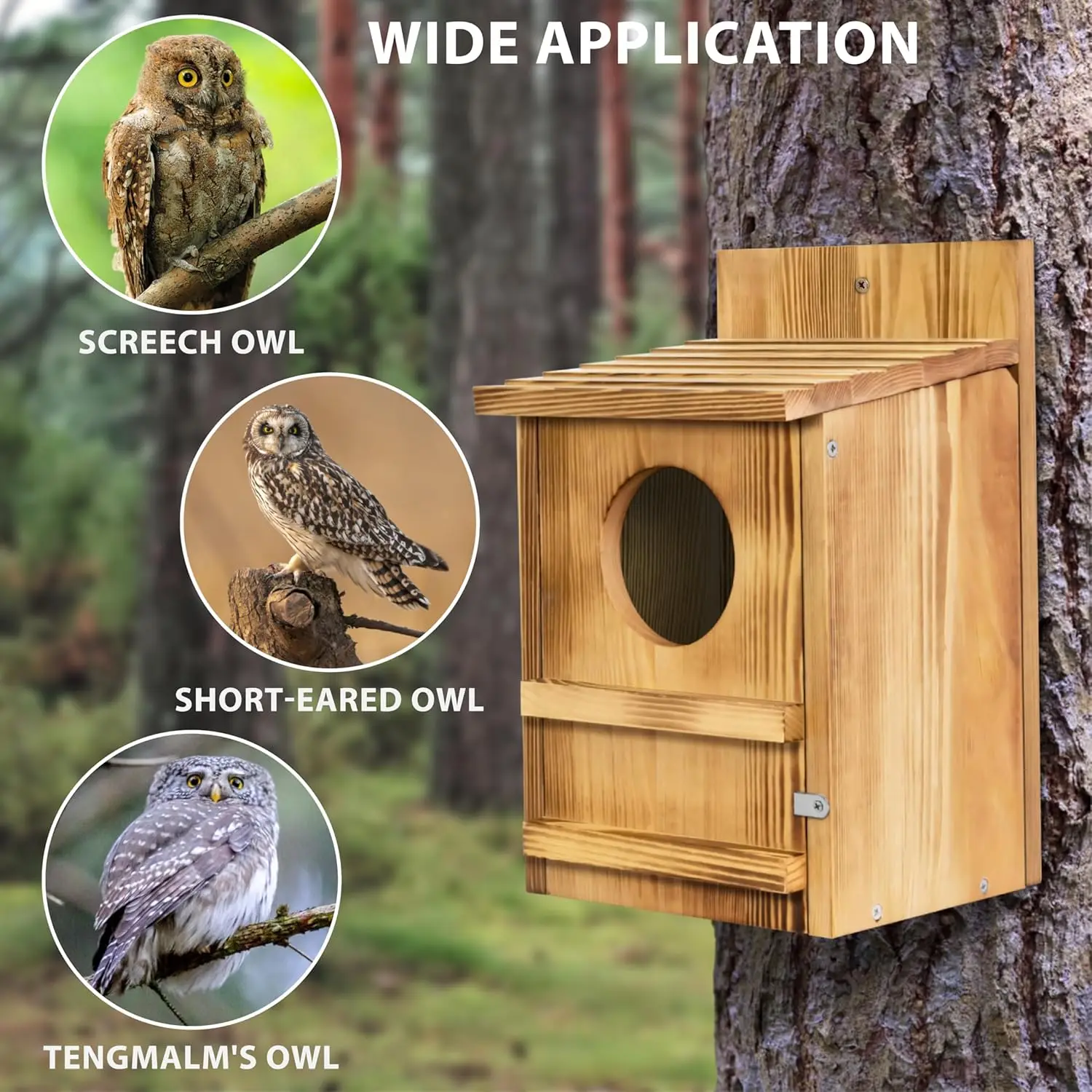 Carbonized Cedar Large Owl Bird Box for Wildlife Lovers| Alibaba.com