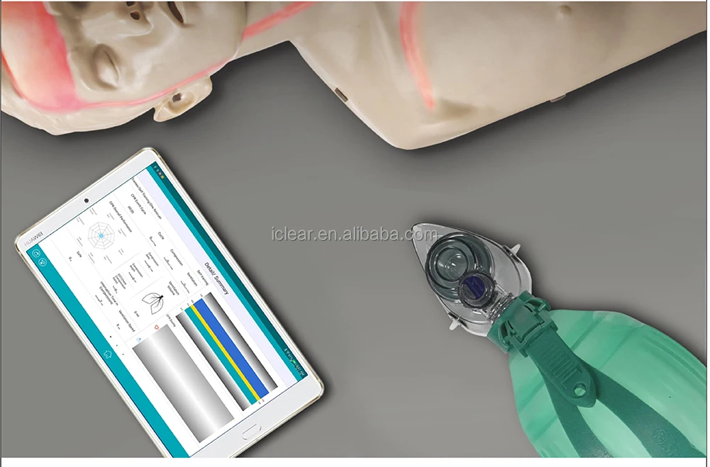 First Aid CPR Training Model with Blood Flow Visualization