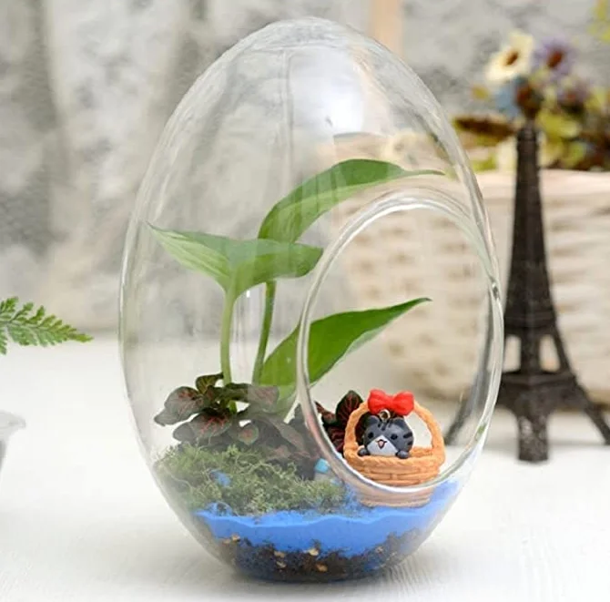 Custom Egg Shape Decorative Glass Terrarium for Plants