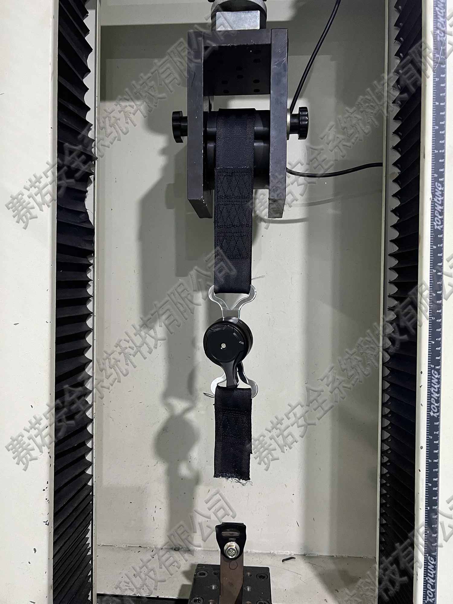 Quick Release 5-Point Cam Lock Car Safety Belts with Convenient Buckle ...