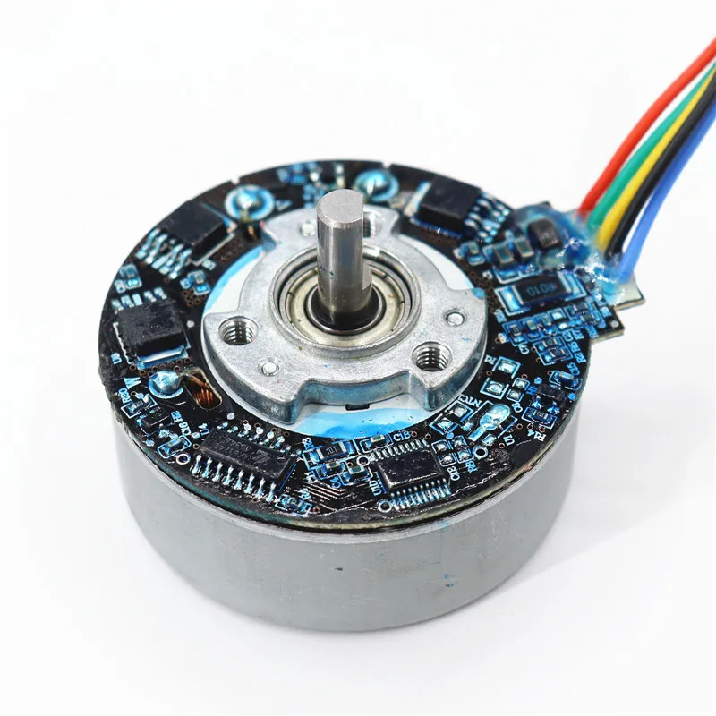 55mm BLDC Brushless DC Motor BL5520 24V 3800 RPM for Massage Guns, Fans ...