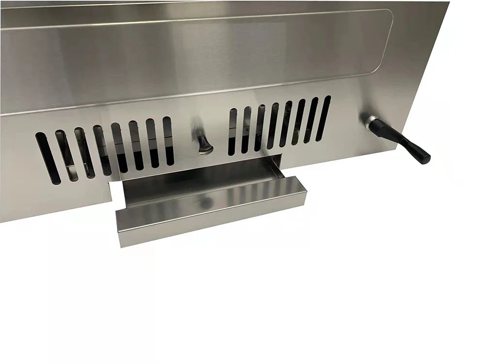 Premium Stainless Steel Outdoor BBQ - Expensive Charcoal