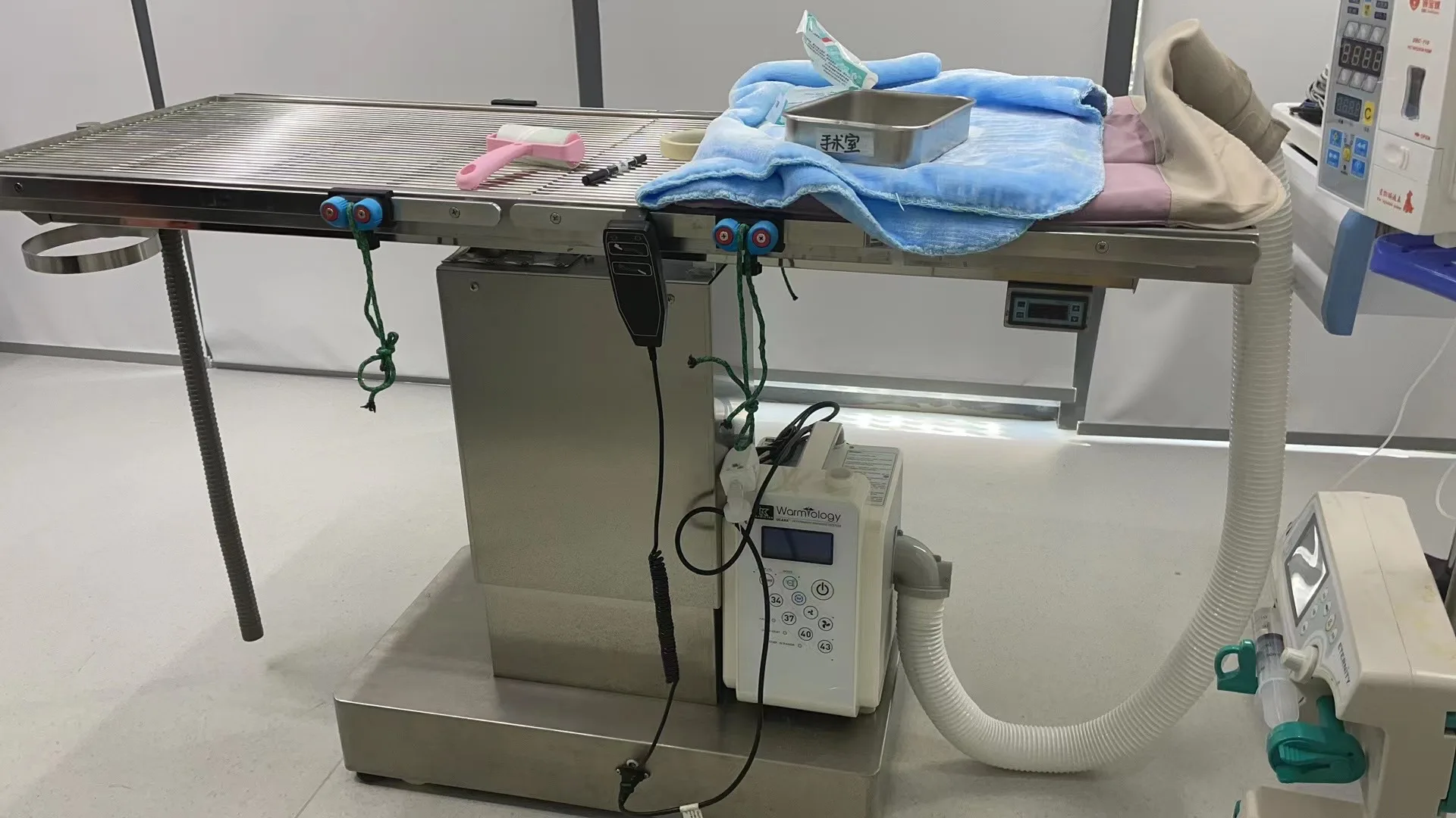 Veterinary Digital Radiography Device Veterinary Xray Digital Generator ...