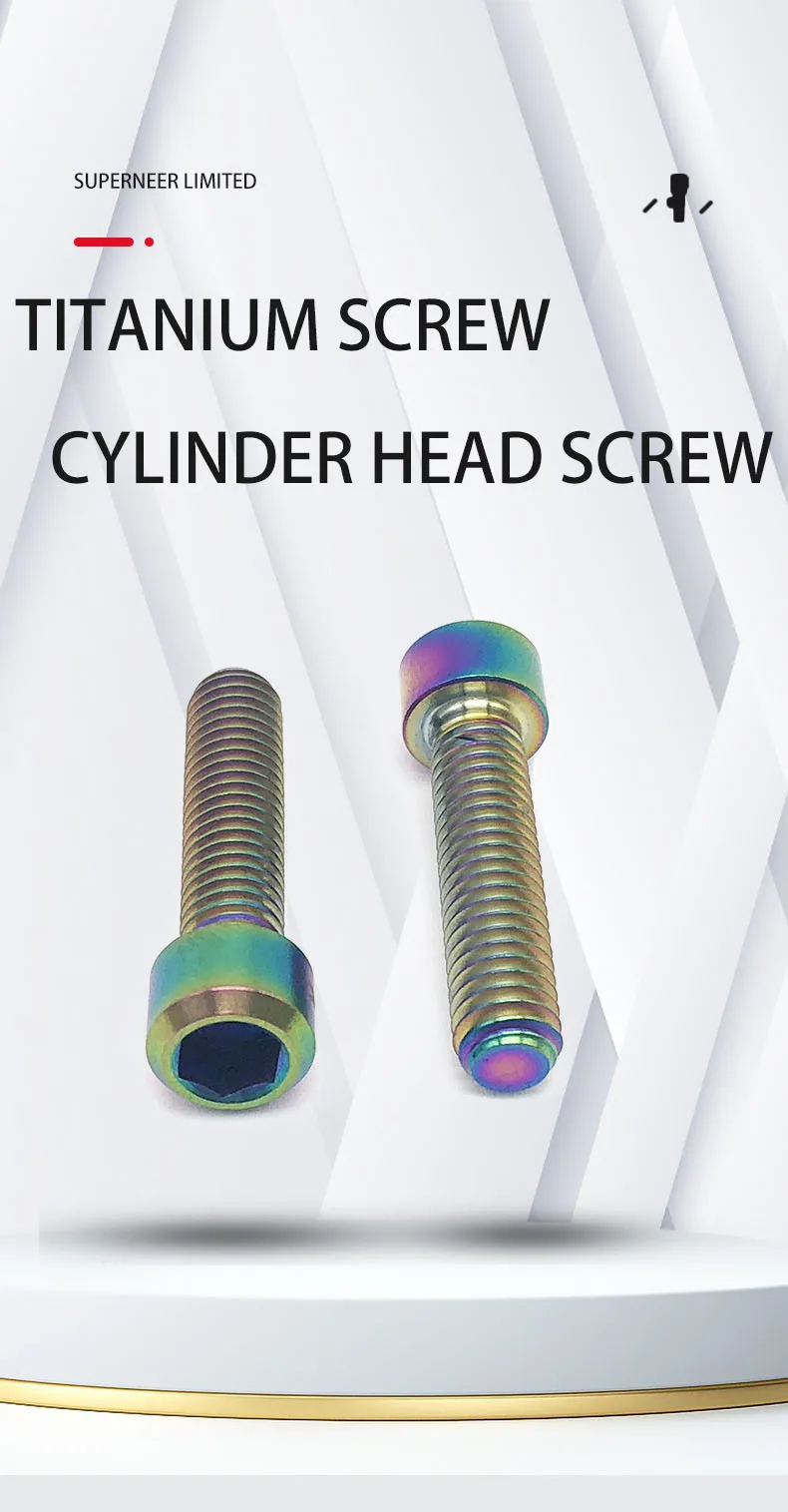 China Manufacturer Titanium Screw Cylinder Head Screw Socket Drive ...