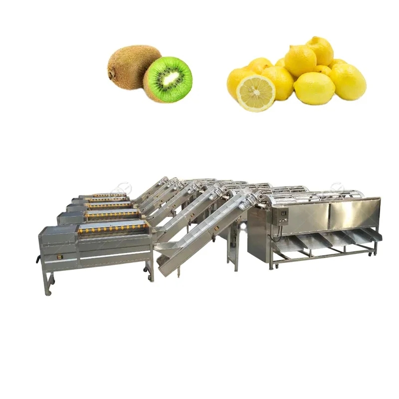 Automatic Kiwi Grading Avocado Sorter Lemon Sorting Machine - Buy Lemon Sorting Machine,Kiwi ...