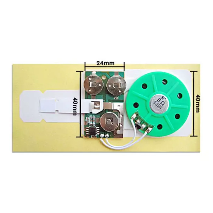 Push Button Voice Recording Customized USB Programmable Record Voice ...