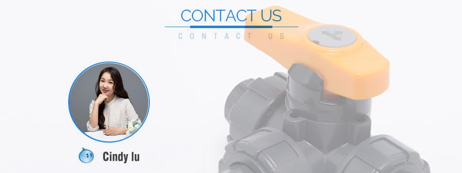 Spring Check Valve CPVC Swimming Pool Valve - YDKLSP