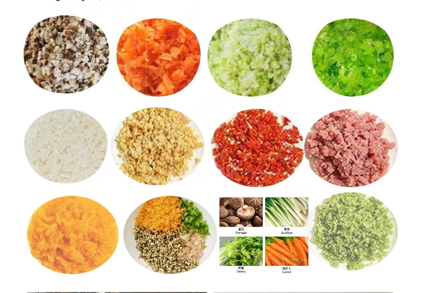 Stainless Steel Fruit Vegetable Pulp Juice Maker Machine