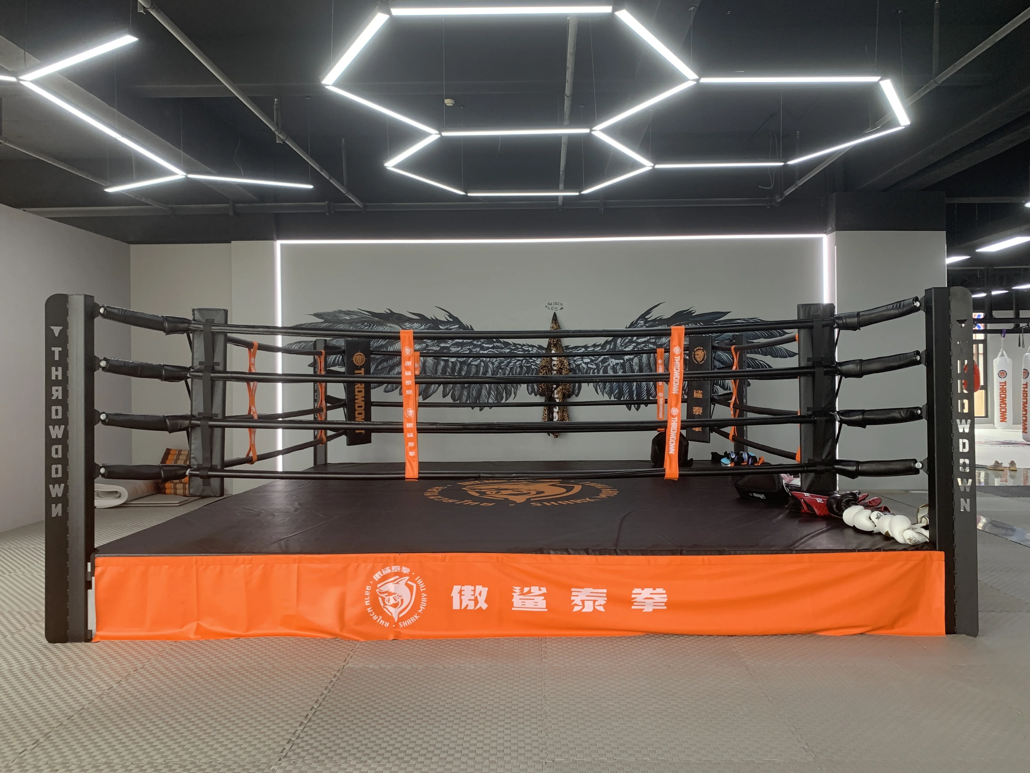 Wholesale Multifunction 4X4 Boxing Ring - Durable Kickboxing Equipment ...