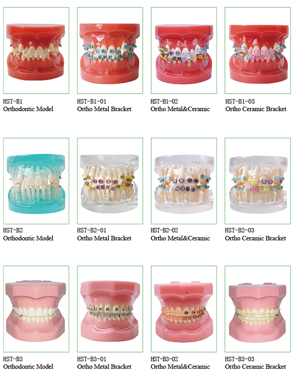 Dental Comparison Model Full Ceramic Bracket Model Teaching ...