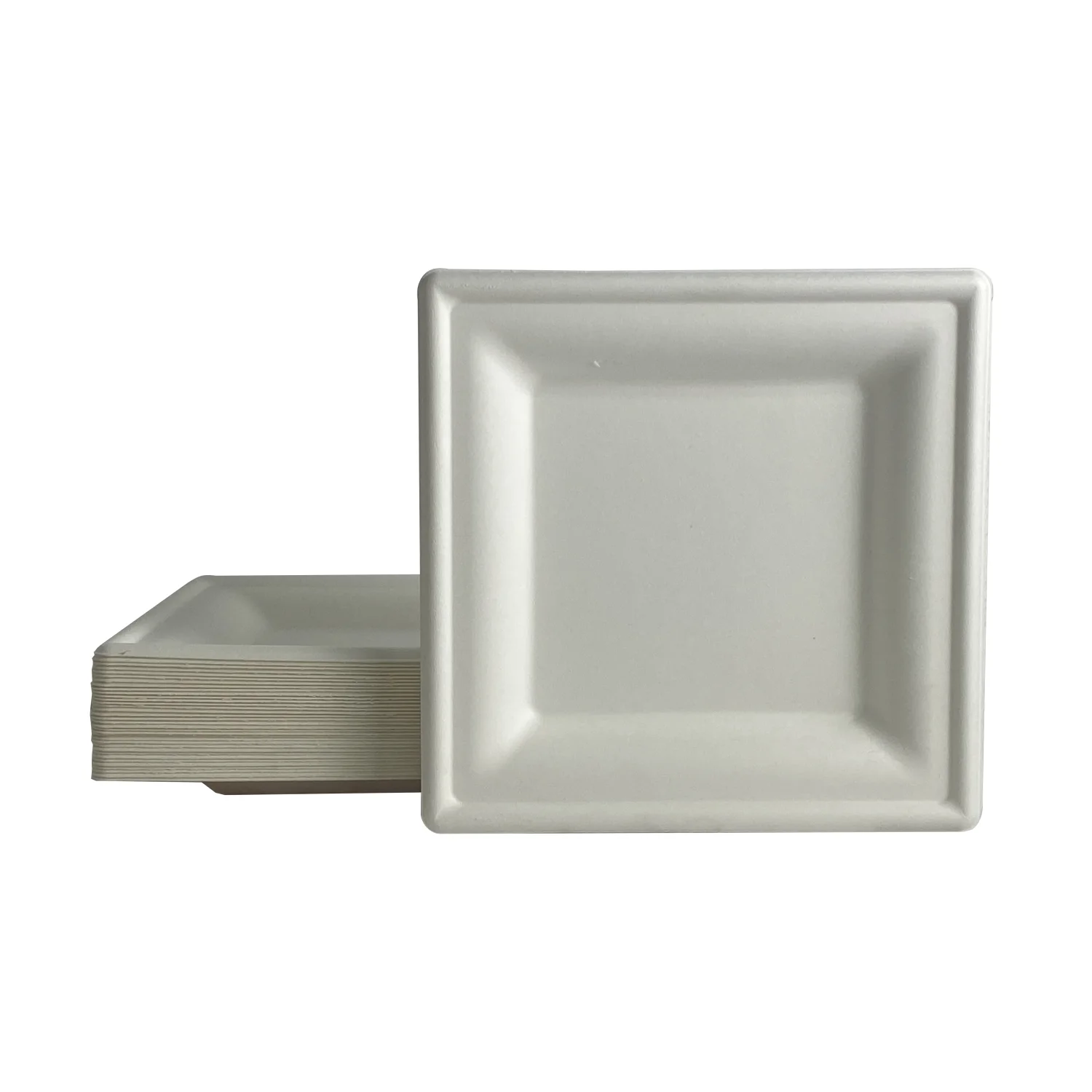 Compostable Sugarcane Square Plates 8 Inch Disposable Dinner Plate ...