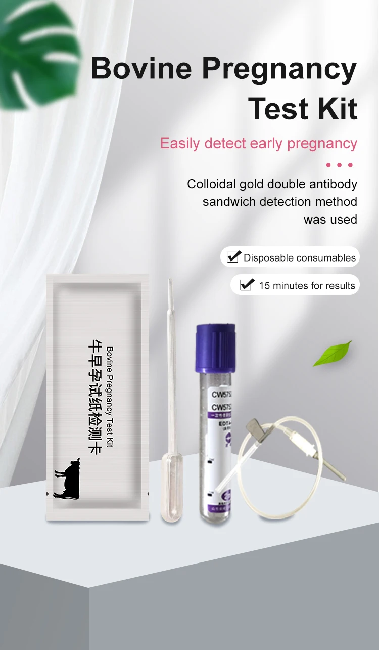 Cow Pregnancy test Strip Kit Pregnancy test Cows Animal Pregnancy test ...