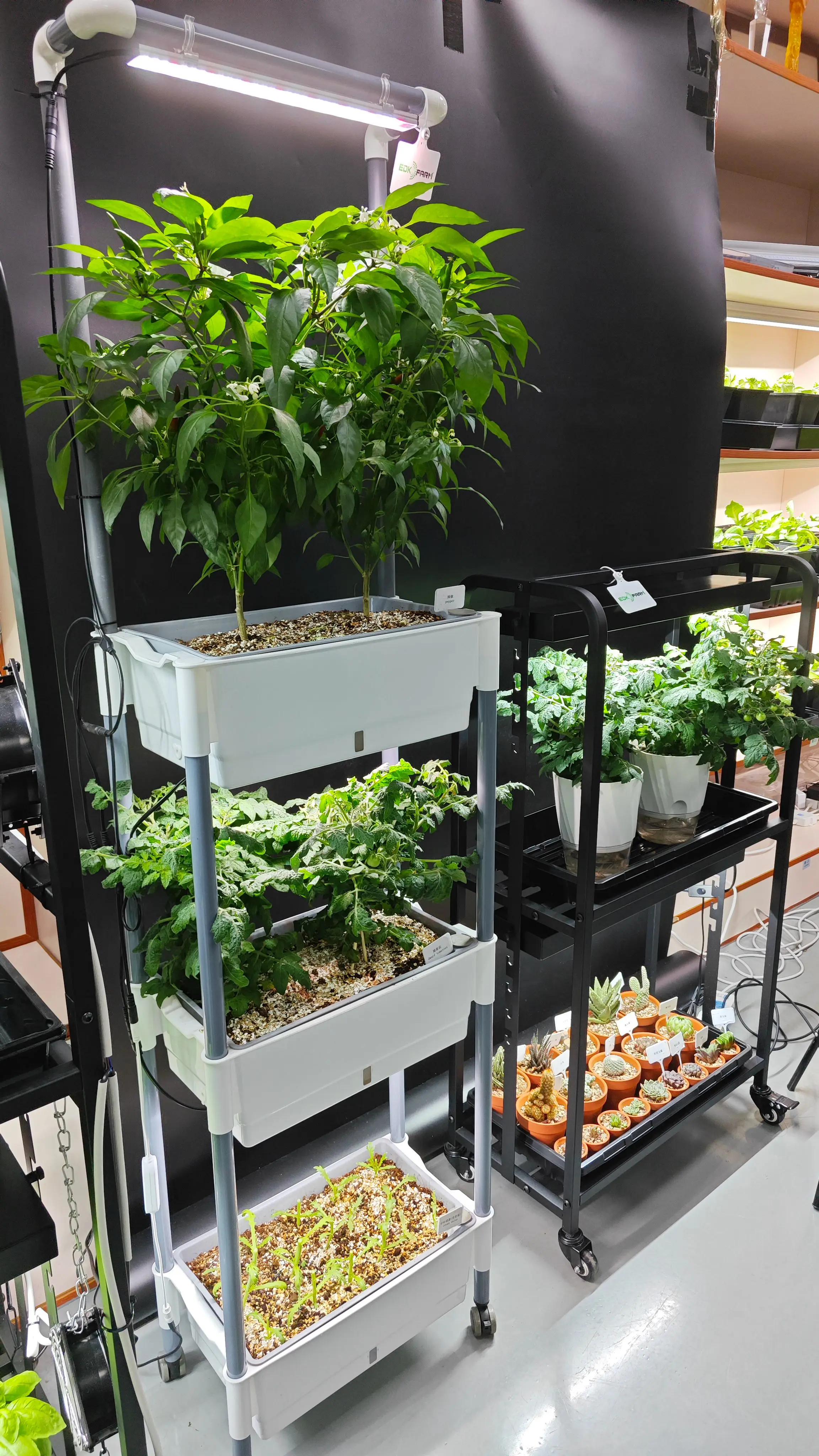 4 Tier Iron Ladder Rack Flower Plants Home System Indoor Vegetable Kit ...