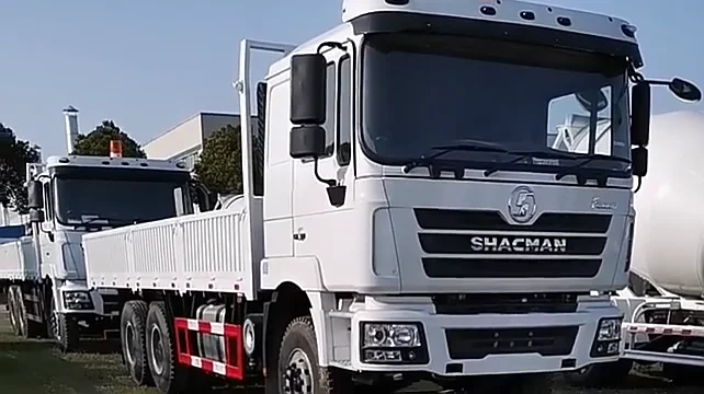 Medium Size Lorry Cargo Truck 10ton Shacman L3000 4x2 Diesel Cargo ...