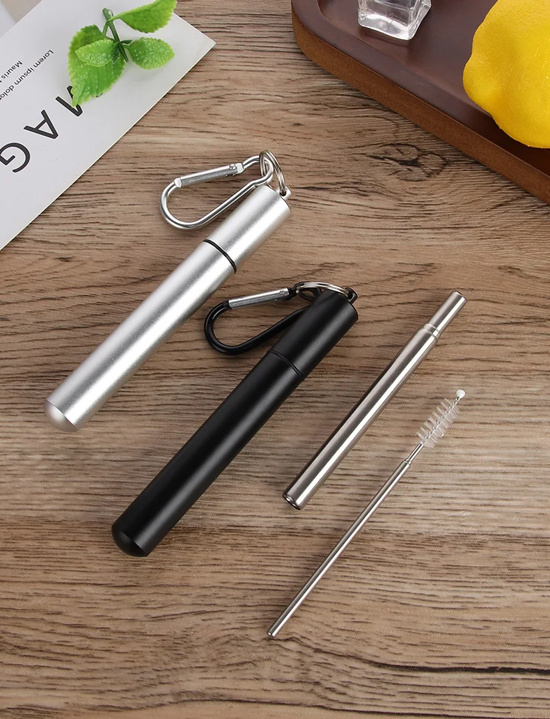 Reusable Metal Collapsible Straw Set - 304 Stainless Steel