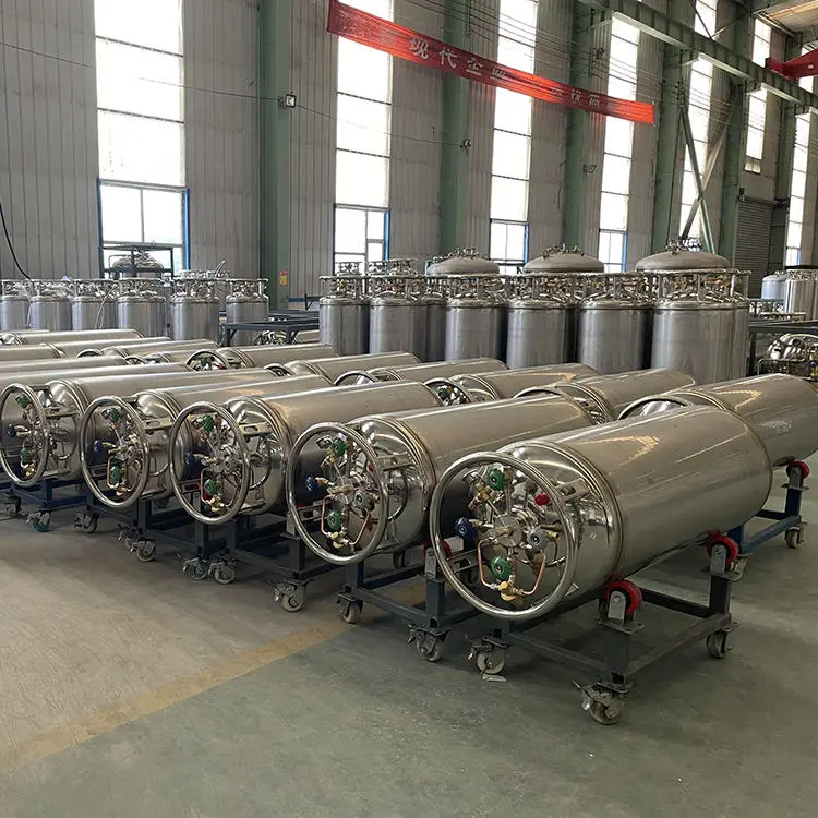 Liquid Nitrogen/Oxygen/Argon Co2 Storage Dewar Tank: 175l