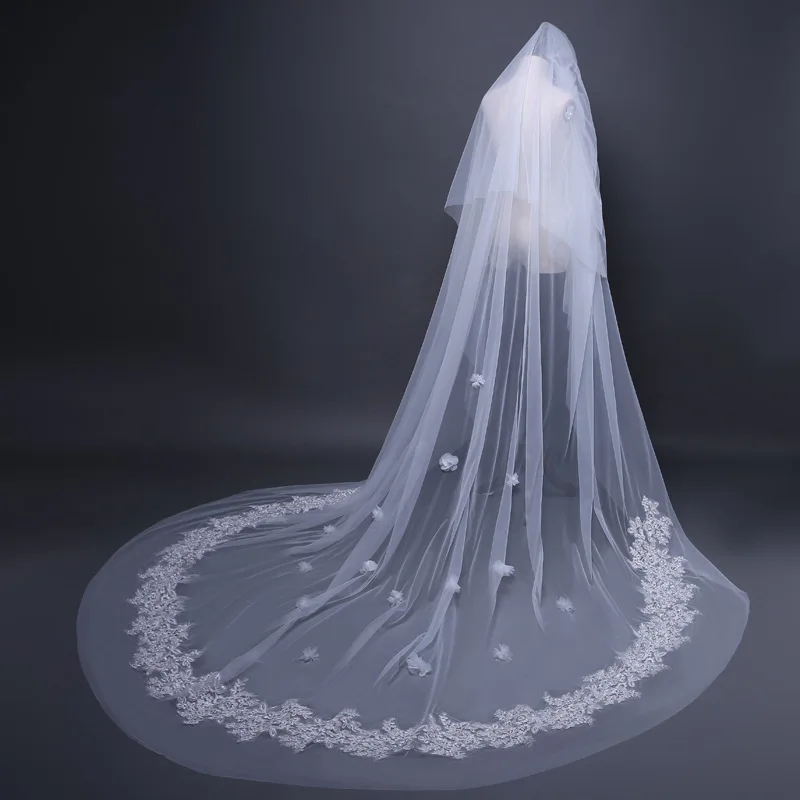 Latest White Wedding Dress Tail Veil Bride Long Lace Veil 3M Veil ...