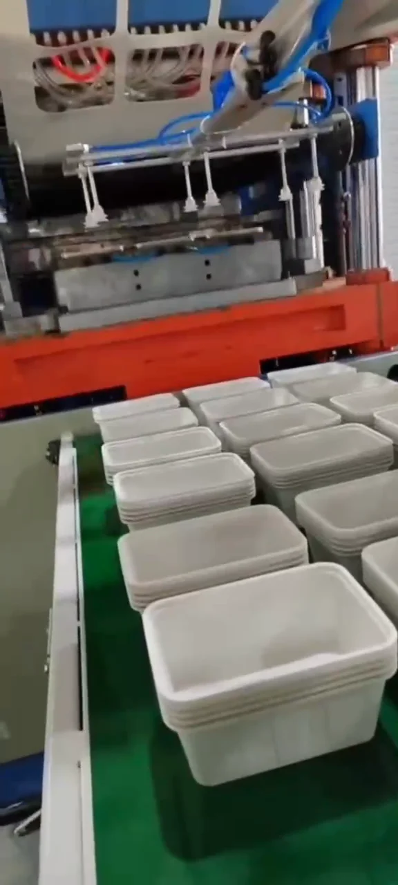 Disposable Plastic Takeout Food Packing Box Container Vacuum ...