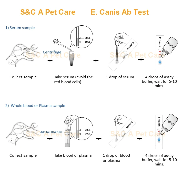Canine Erlichia Ehr+lsh Ehrlichia Ab/leishmania Ab E Cains Pet Care ...