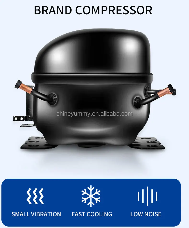 Stainless Steel Commercial Freezers - Efficient & Durable