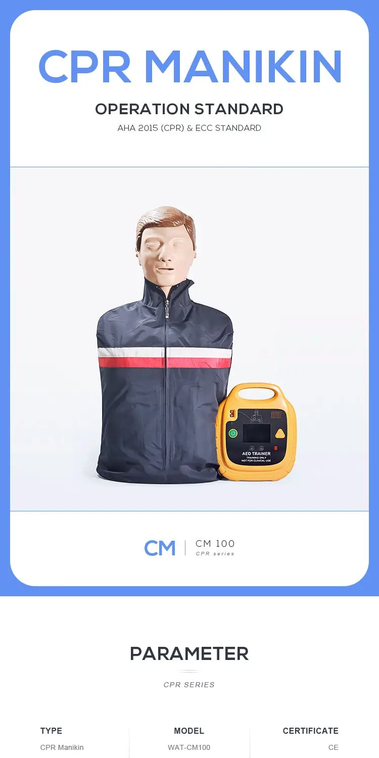 Medical Body Dummy Torso Mannequins Cpr Training Manikin With ...