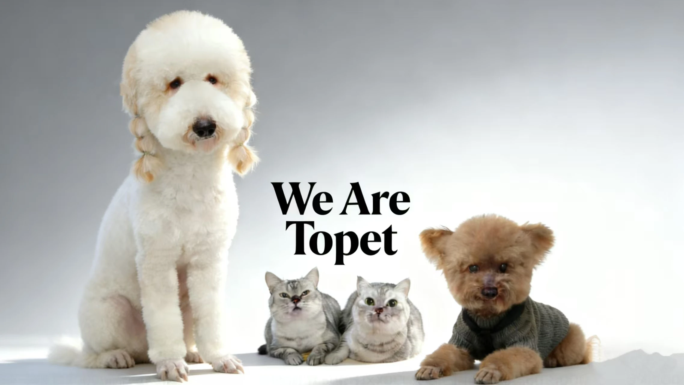 Three-piece Set Cat & Dog Chest Back Vest & Traction Rope Leash Plaid ...