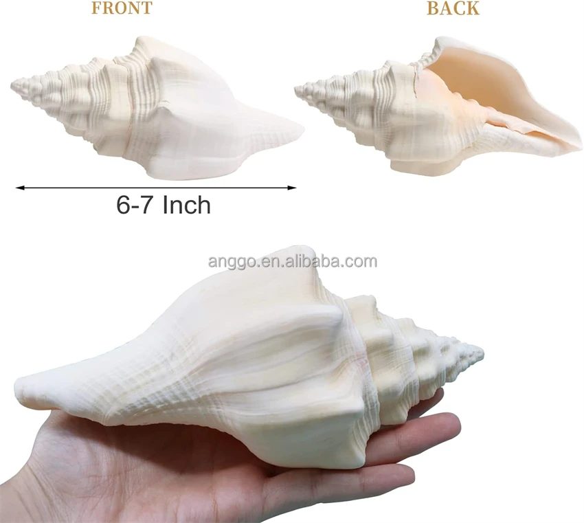 Wholesale Handicraft Raw Materials Specimen Gift Table Decoration ...