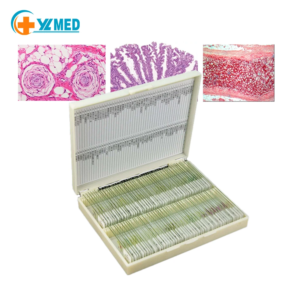 Teaching Biology Human Histology Microscopy Slide Preparation - Buy ...