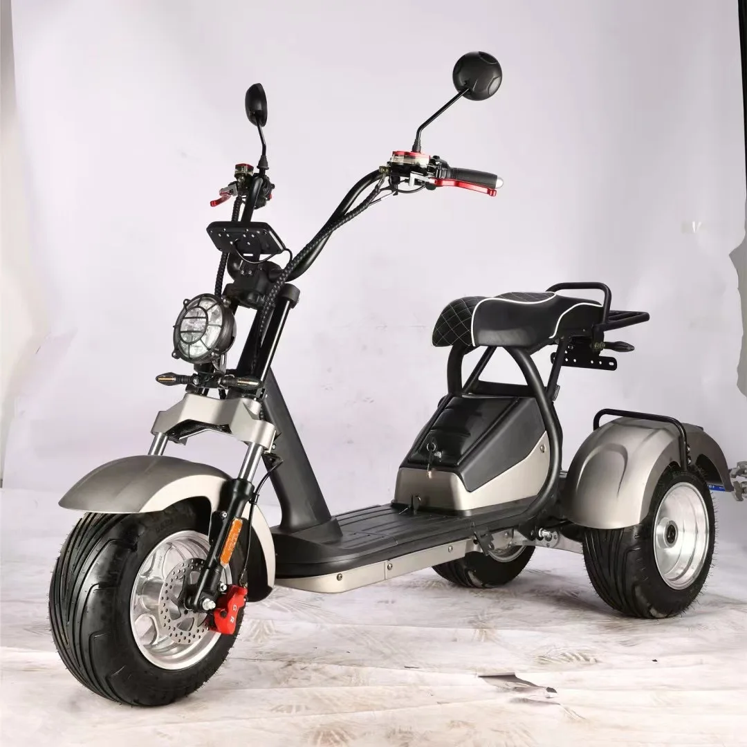 Personal Transporter Citycoco 3wheel Electric Tricycle Vehicle 4000w ...