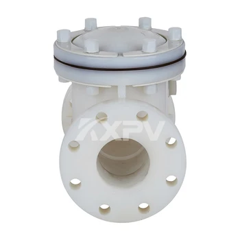 Factory Supply Dn80 Sanitary Pvdf Swing Type Non Return Check Valve For ...