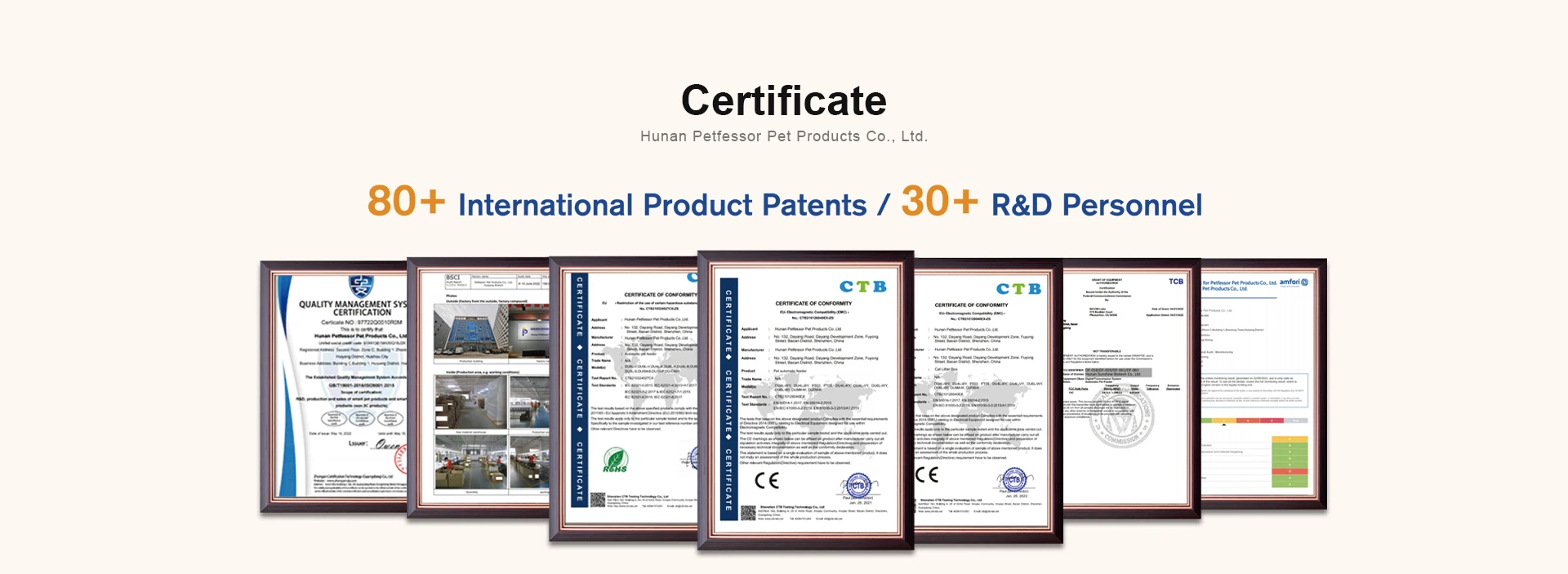 Company Overview - Hunan Petfessor Pet Products Co., Ltd.