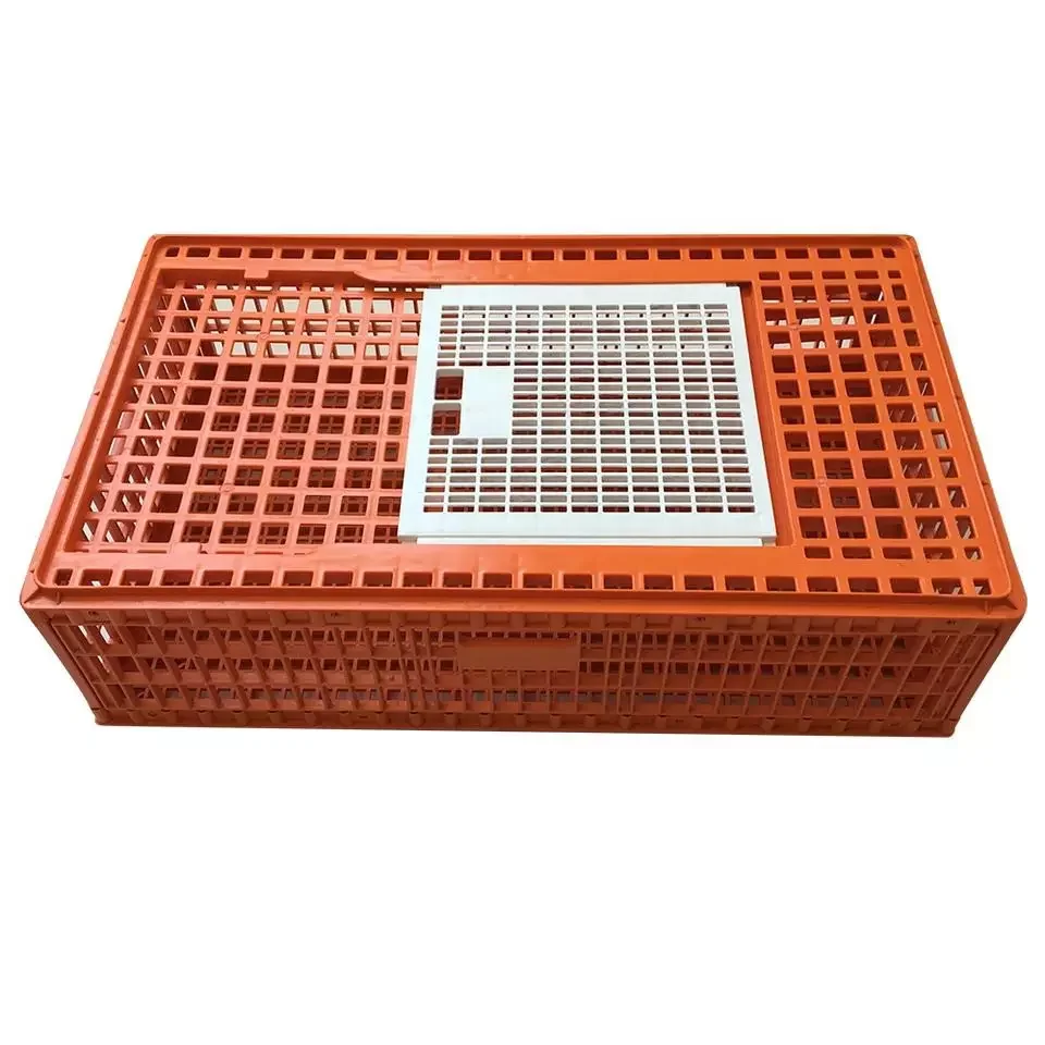 Live Chicken Transport Cages for Sale - Durable & Efficient