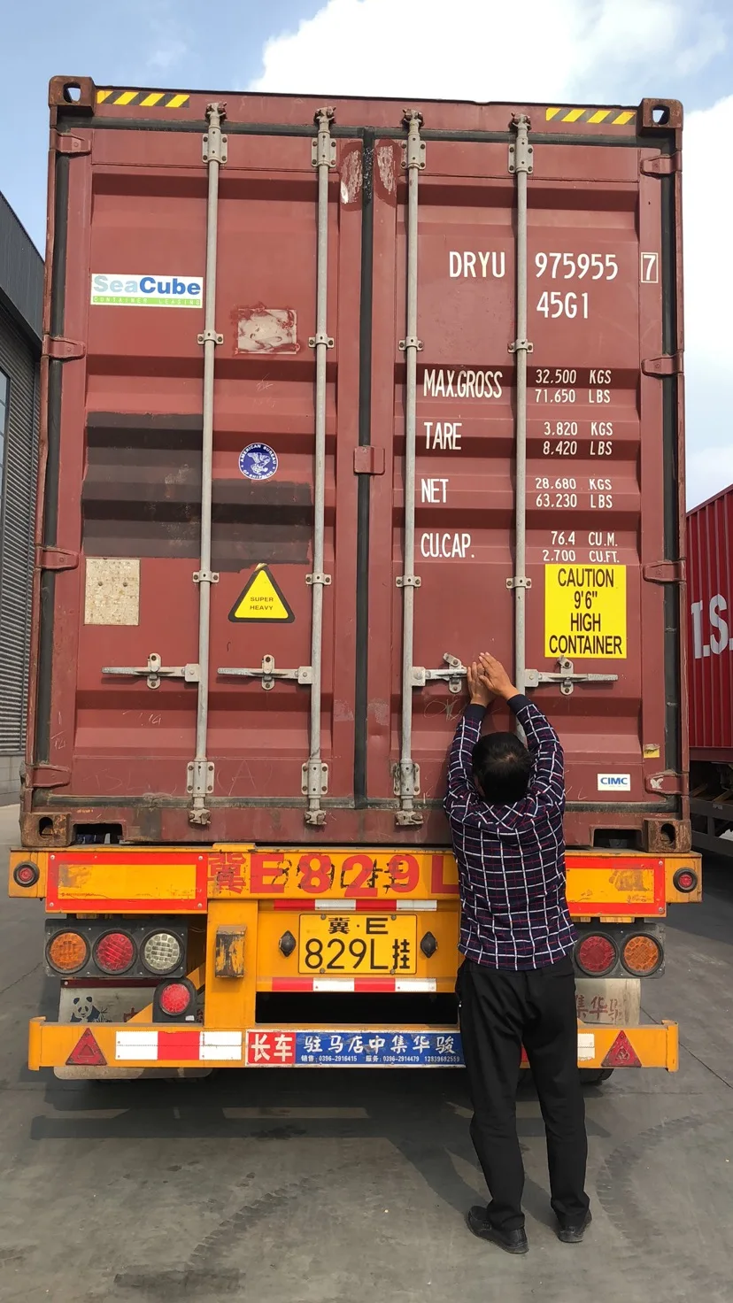 GIBO Wet Canned Food - Premium Chicken Jelly for Cats