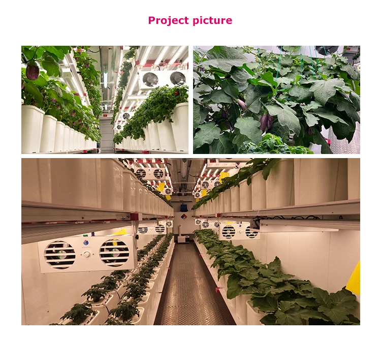 Environment Controlled Container Farm Smart Vertical Grow System For ...