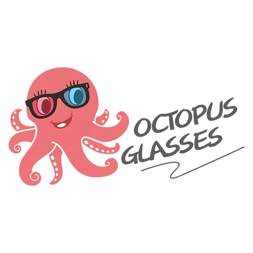 Company Overview - Shenzhen Octopus Glasses Co., Ltd.
