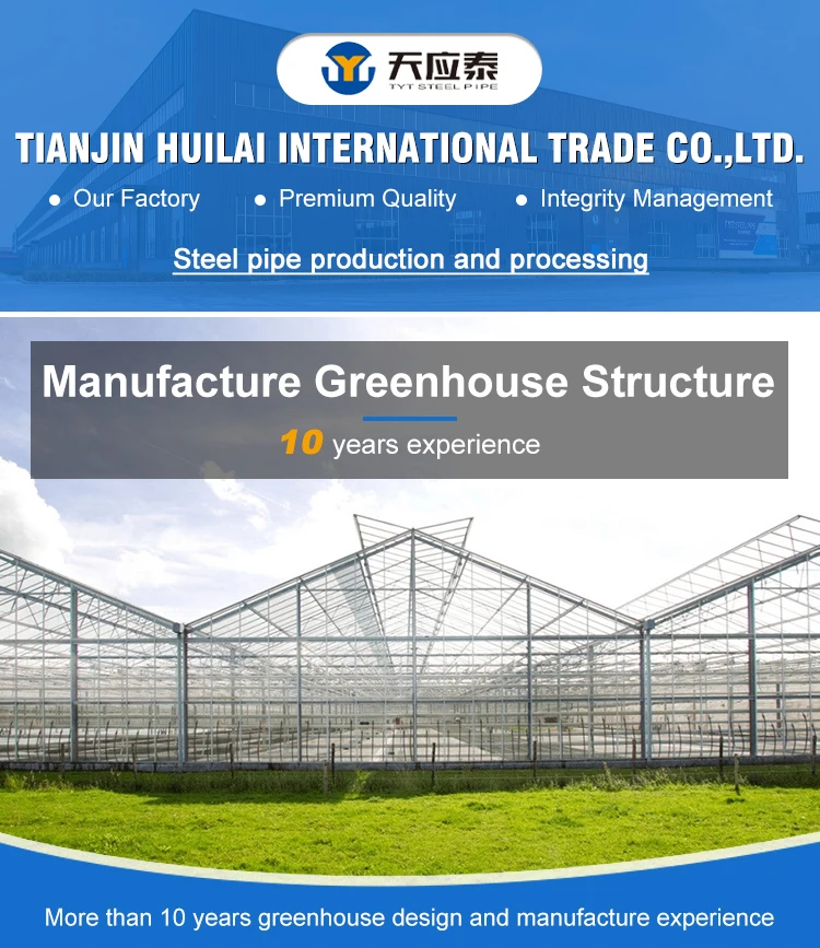 Tyt Galvanized Steel Frame Single Span Pe Film Greenhouse For ...