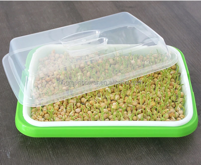 Plastic Seed Sprouter Tray with Lid - Eco-Friendly Germination