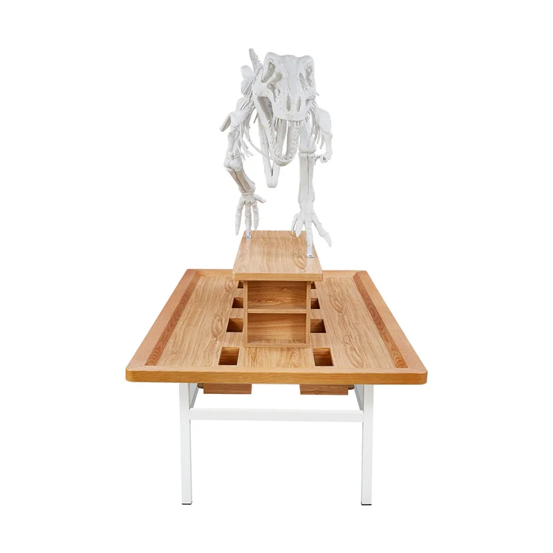 Indoor-outdoor Dinosaur Archaeological Excavation Kit