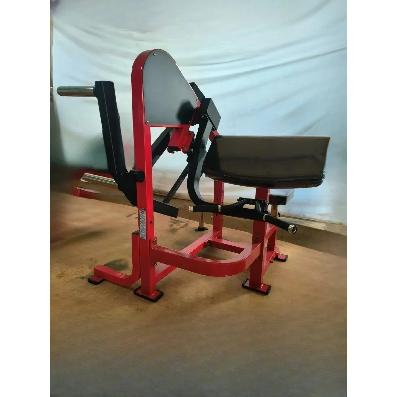 Alibaba.com: ARM CURL Commercial Gym Equipment, Plate Loaded Bicep Curl ...