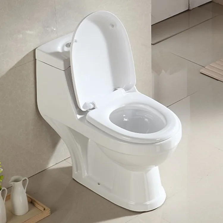 Saudi Arabian Toilets