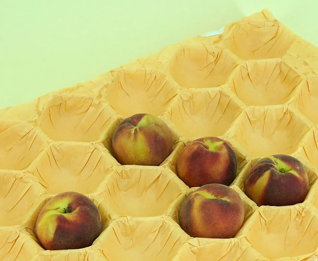 Eco-friendly Alveoles Paper Fruit Trays - Biodegradable