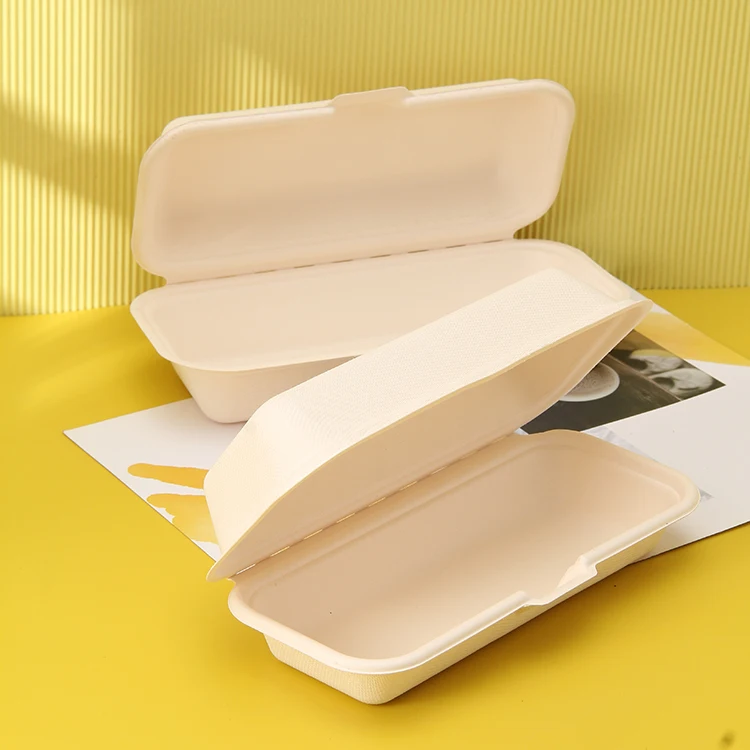Disposable Sugarcane Bagasse Food Box Eco Friendly Biodegradable Take ...
