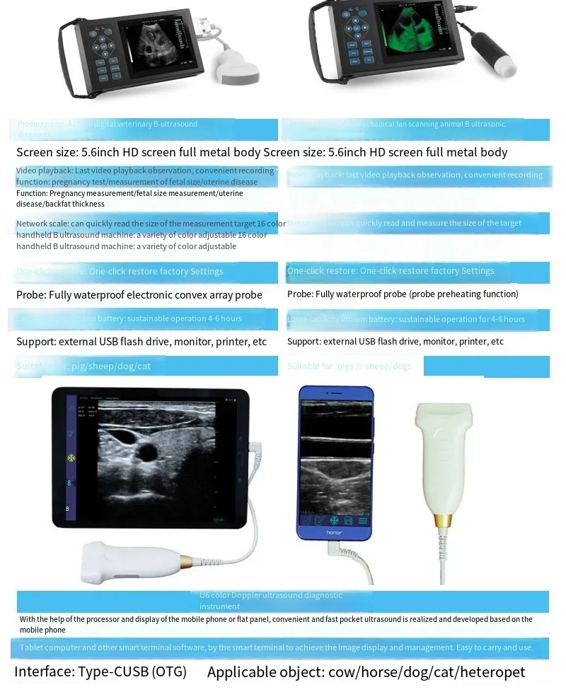 Portable 4D Veterinary Ultrasound Machine for Animal Diagnostics